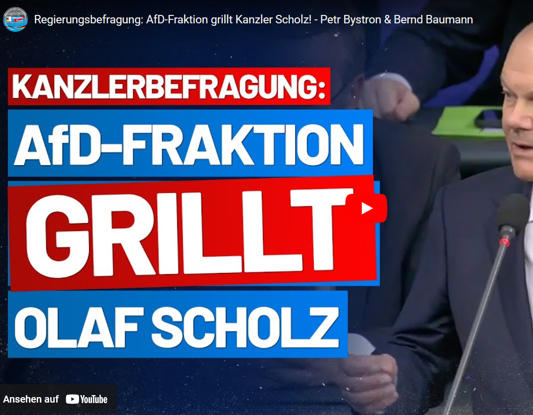 81. und fortfolgende Bundestagssitzungen ab 25. Januar 2023, die ...